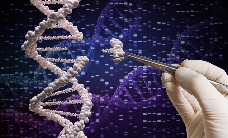 O que exatamente é um Centimorgan? Uma introdução à ciência dos testes ...